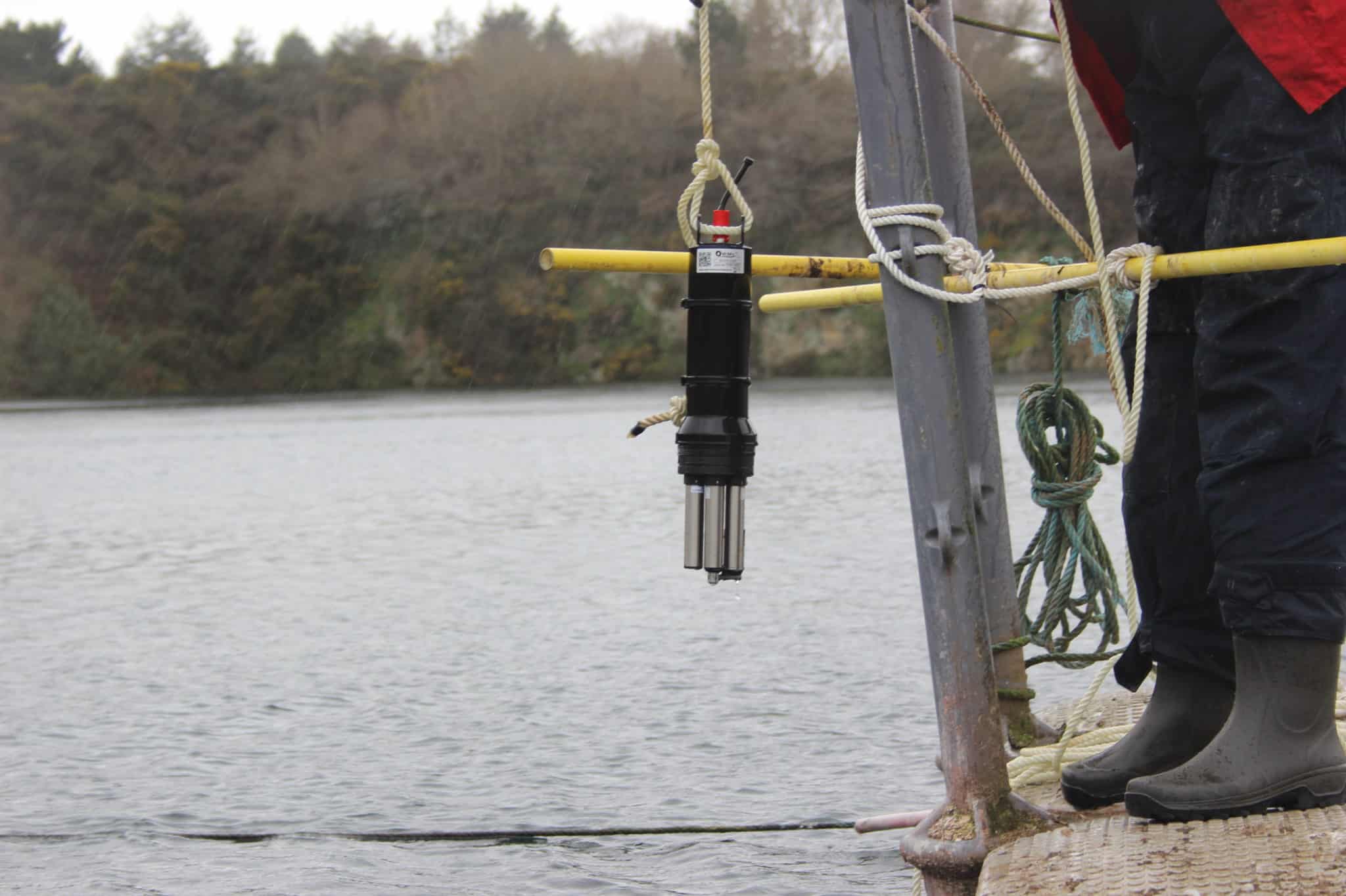 WiMo Plus - nke Instrumentation